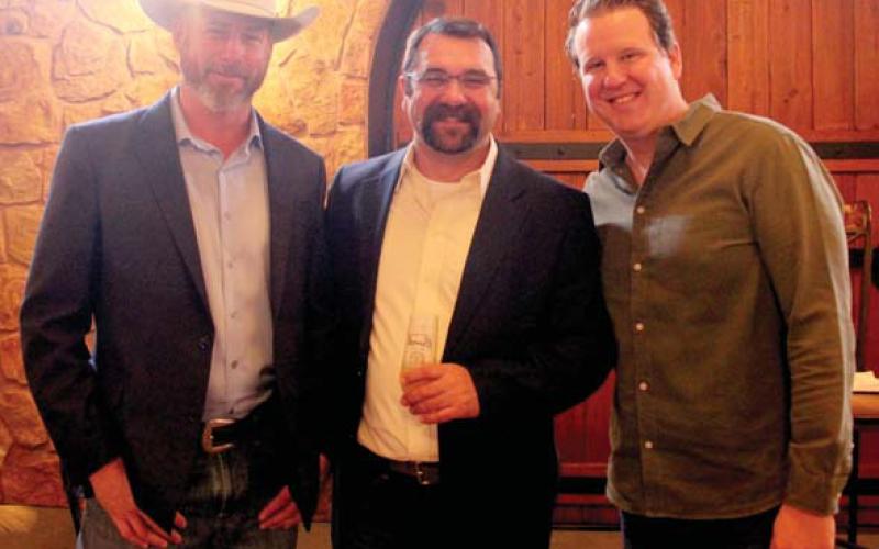 Better Beginnings Brunch tackles serious subject | Dublin Citizen