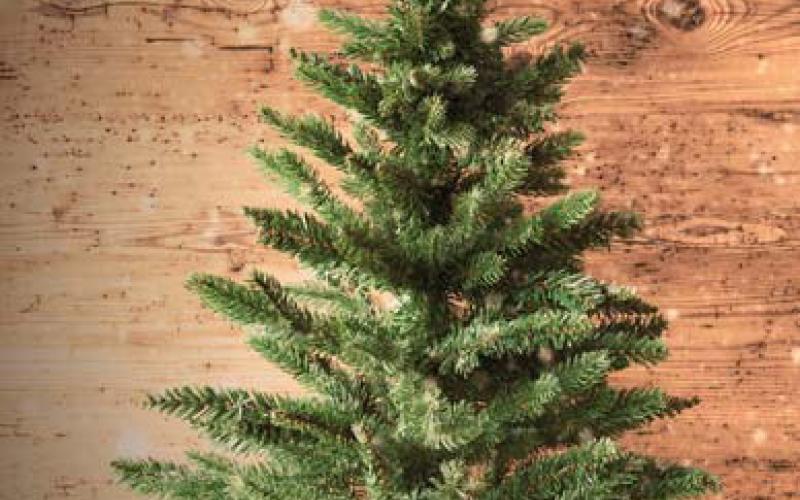 Artificial trees, not artificial worship | Dublin Citizen